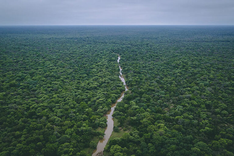Instituto de Turismo del Chaco | PN El Impenetrable